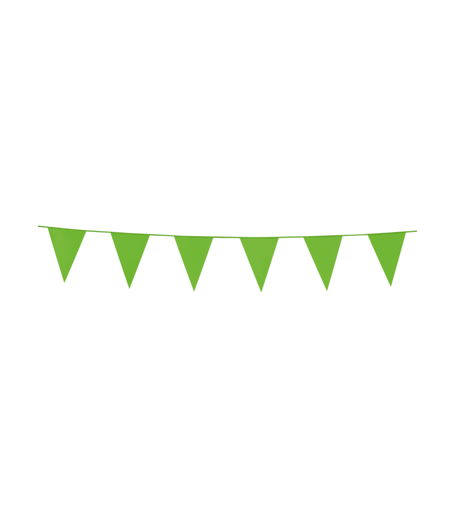 🎉PE Pennant 3m - Light Green🎉 »🎉 Partituki